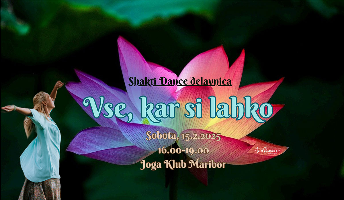 Vse, kar si lahko - AnaRozman.si